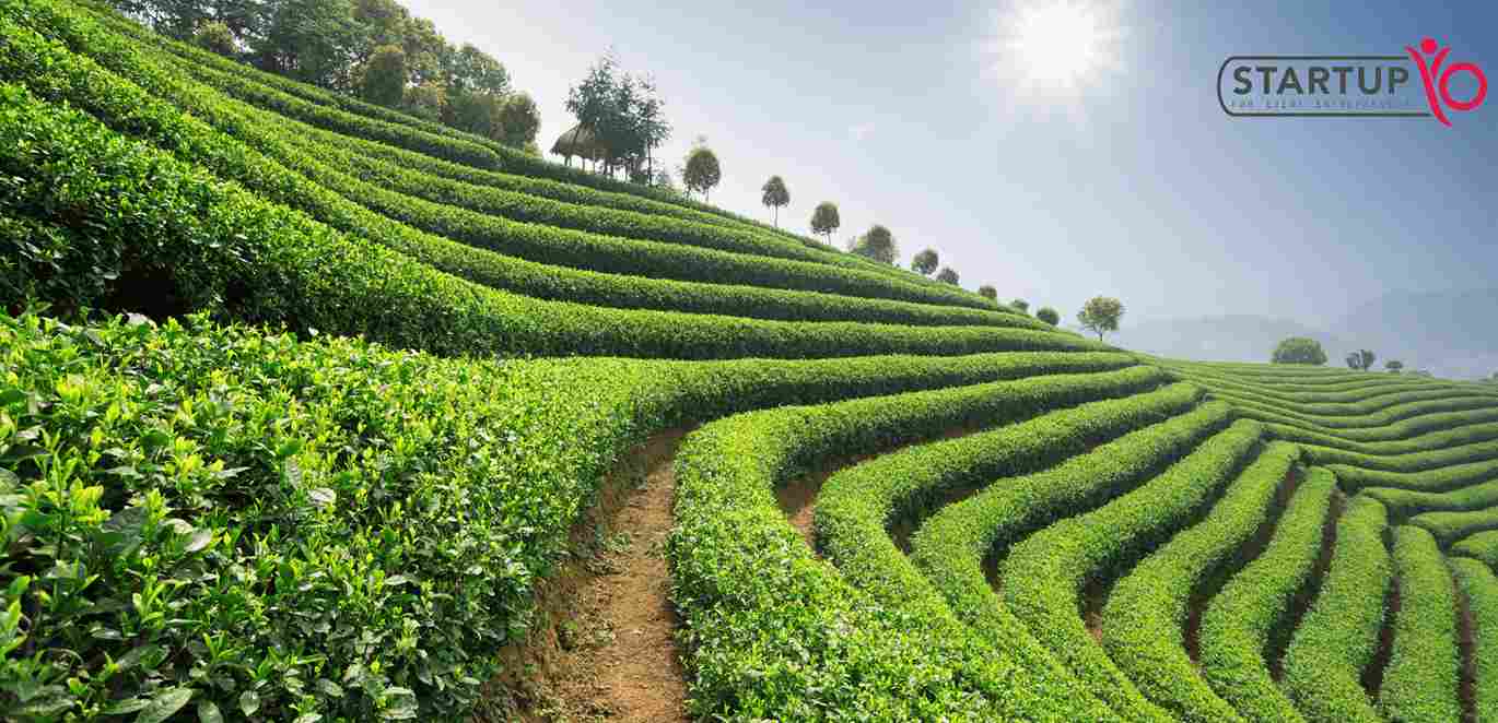 11 Best Profitable Business Ideas In Assam 2024 - StartupYo