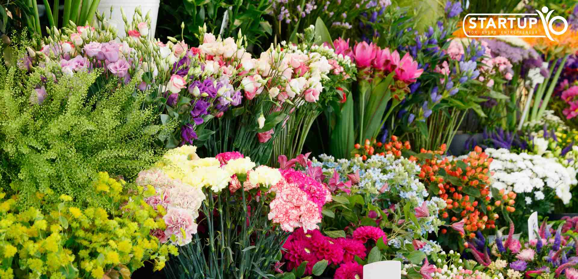 How To Start A Flower Business In USA (2024) - StartupYo